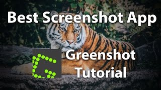 28 Greenshot Alternatives – Top Best Alternatives