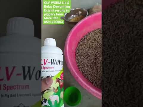 Live Earthworms for composting - Red Wigglers Earthworm Latest Price ...