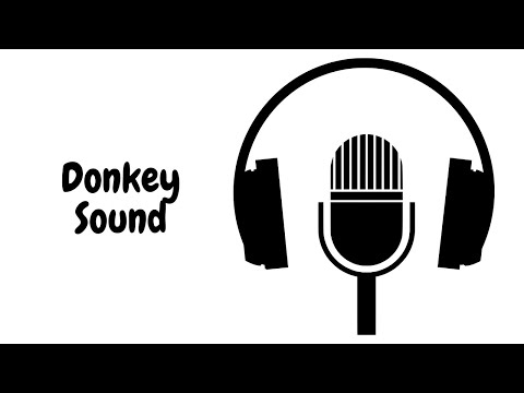 Donkey Sound (Copyright Free)