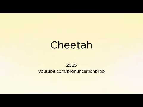 How to Pronounce Cheetah