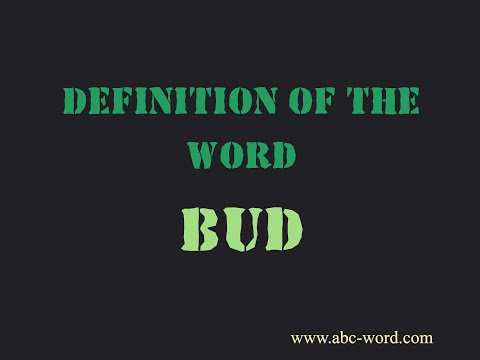 Definition of the word "Bud"