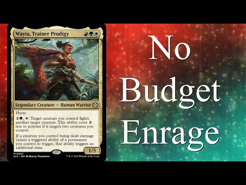 Let's Build a No Budget Wayta, Trainer Prodigy Commander Deck!