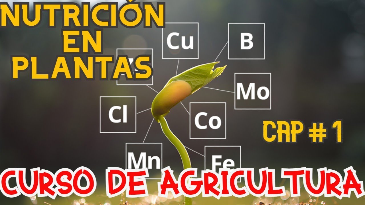 🌱🌱 CURSO DE AGRICULTURA, CAPITULO #1 NUTRICIÓN EN PLANTAS🌱🌱🪴🪴 CURSO GRATUITO !!🪴🌵