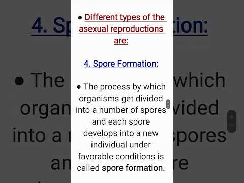 What is Spore Formation? Class 7 Science/Reproduction in Plants