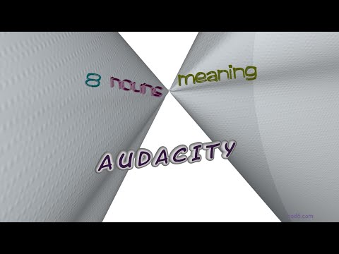 audacity - 9 nouns having the meaning of audacity (sentence examples)