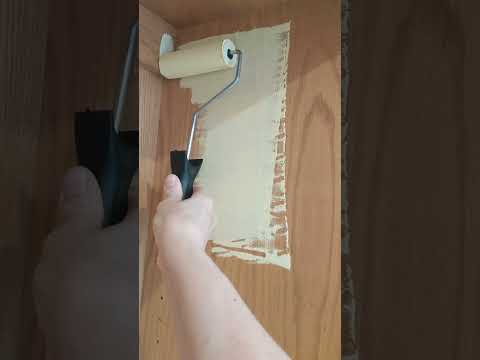 Staalmeester Microfiber Roller and Fusion Mineral Paint.