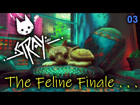 Steam Community :: Stray