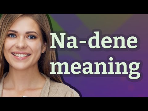 Na-dene | meaning of Na-dene