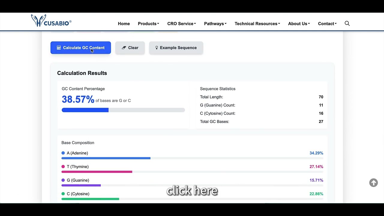 How to Use CUSABIO's GC Content Calculator?