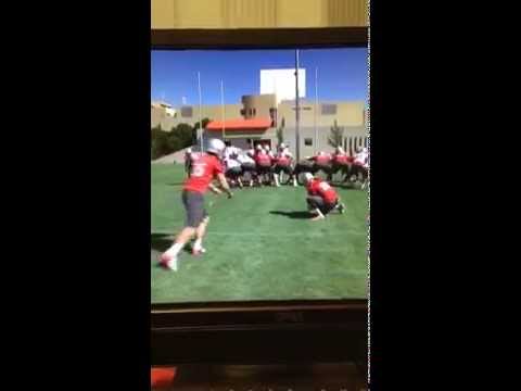 Jason Sanders, NFL Kicker Miami Dolphins | Kicking World