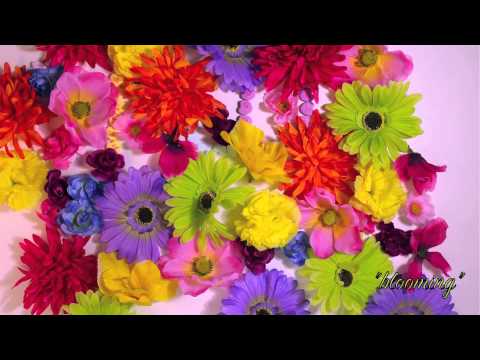 Valentine's Day Video - Meaning of Names Stop Motion