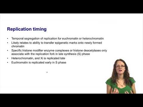 3.   10   X chromosome inactivation summary
