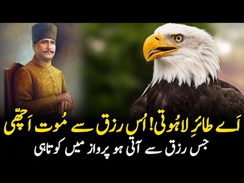 Uss Rizq Say Mout Achi | Kalam-e-iqbal | Allama iqbal Motivational Urdu Poetry Status | Iqbaliyat