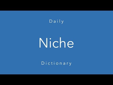 Niche (Daily Dictionary)