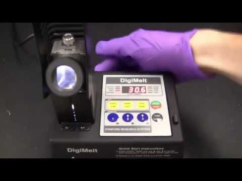 Melting Point Using DIgiMelt