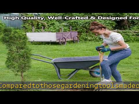 Berry&Bird Garden Digging Fork, 37.4" Stainless Steel Garden Spading Fork with D-Grip Handle, 4-Tin
