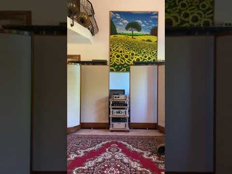 Soundlab A1 Electrostatic Speakers Custom Black Piano Finish | Reverb