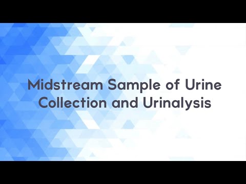 Midstream Sample of Urine Collection and Urinalysis