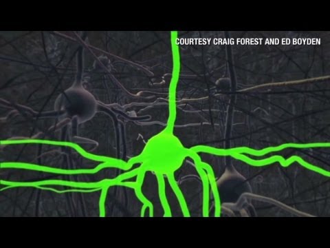 The minds behind the Brain Activity Map