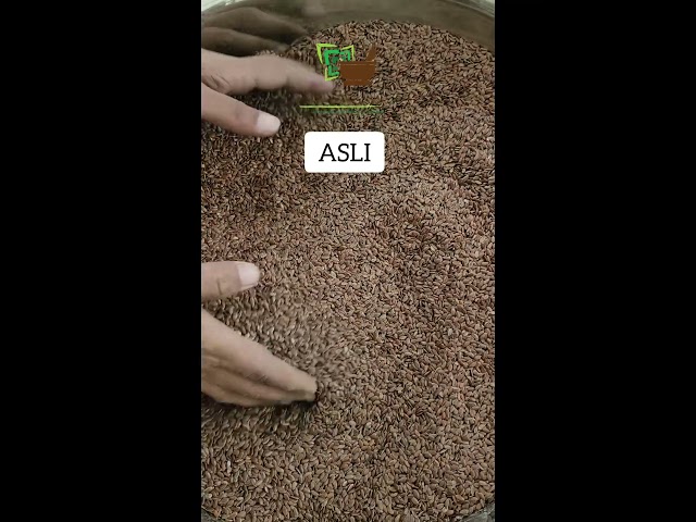 Herbal Seed - Babchi Seeds Bavanchi Seeds Trader - Wholesaler ...