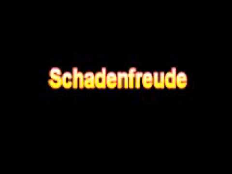 What Is The Definition Of Schadenfreude Medical School Terminology Dictionary