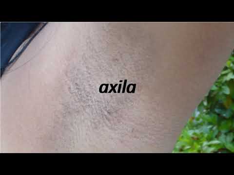 How to say armpit in Spanish