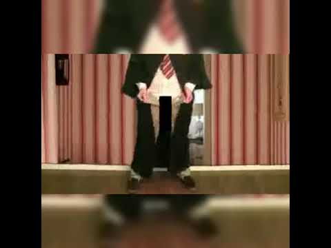 Shane Dawson s cat gets an unpleasant surprise