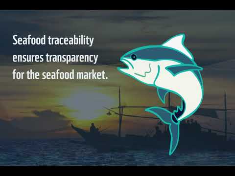 What is traceability?