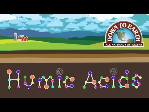 What Are Humic Acids?