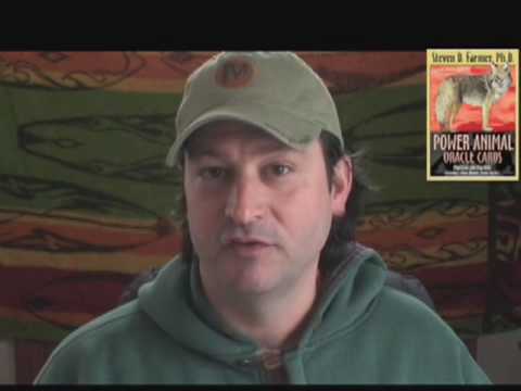 The Animal Spirit Guide Meaning of Hawk using Dr. Steven Farmer's Power Animal Oracle Cards
