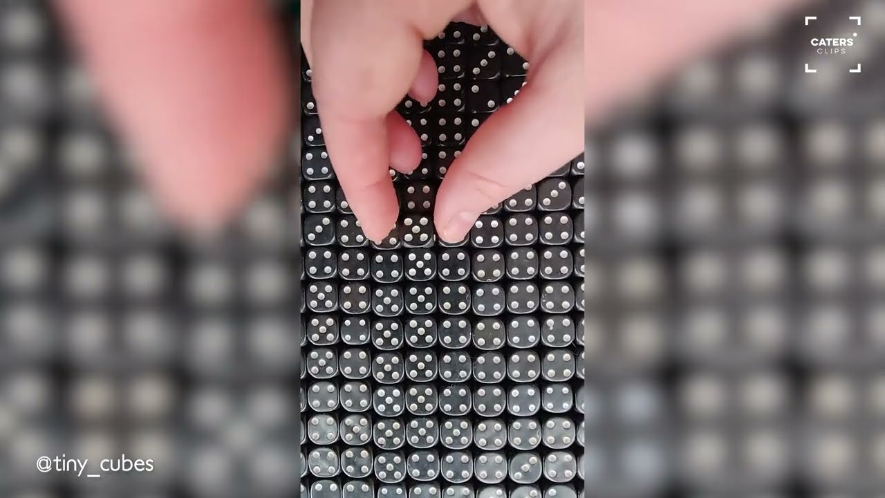 DELIGHTFUL DICE ART OF KING CHARLES III