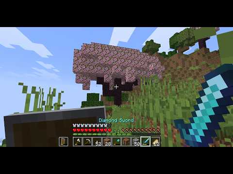 The Eternal King and His Word [Minecraft Bible Study Pt 12] – Bright ...