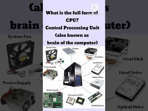 CPU|Full form of CPU|parts of the CPU|which is the brain of the computer|gk|quiz short#gk short