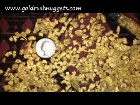 Alaskan Gold Nuggets - Placer Gold Mined this Season in Alaska