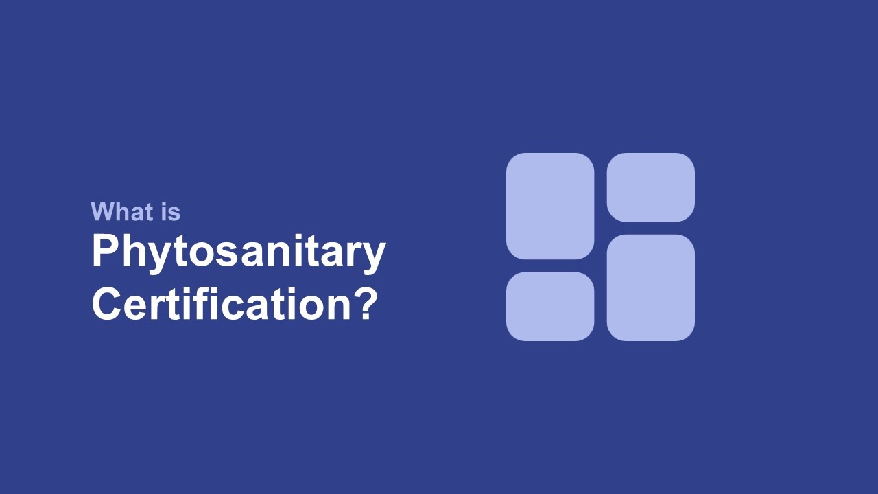What is Phytosanitary Certification?