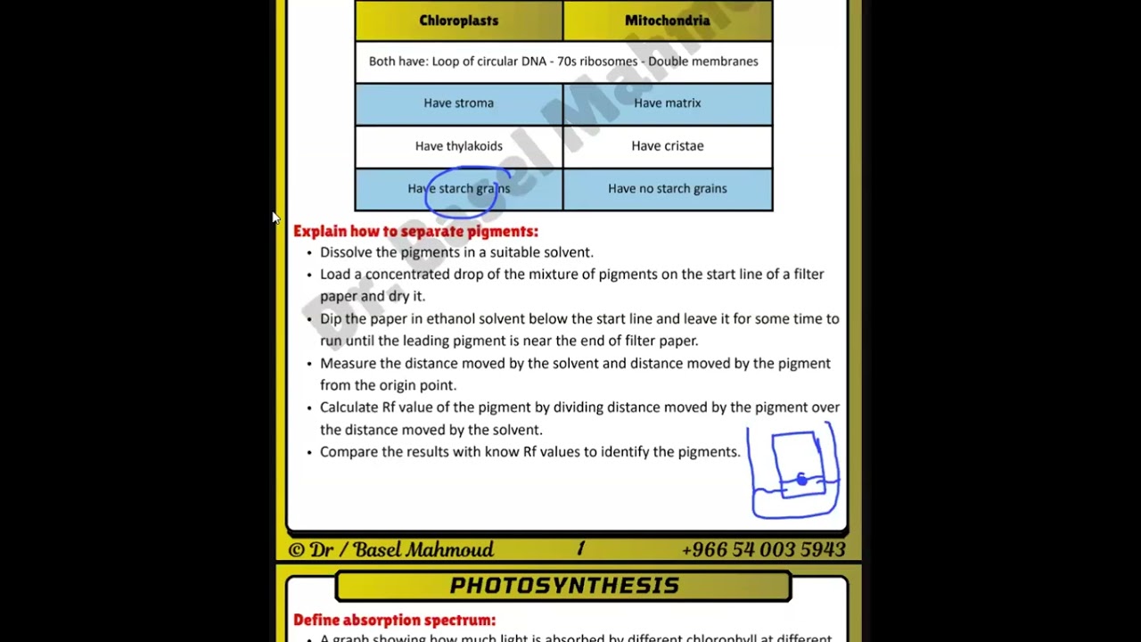 IAL Edexcel Biology - Unit 4 in a nutshell - Full Unit 4 syllabus revision!