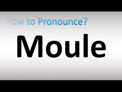 How to Pronounce Moule
