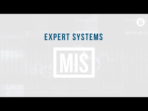 Expert Systems