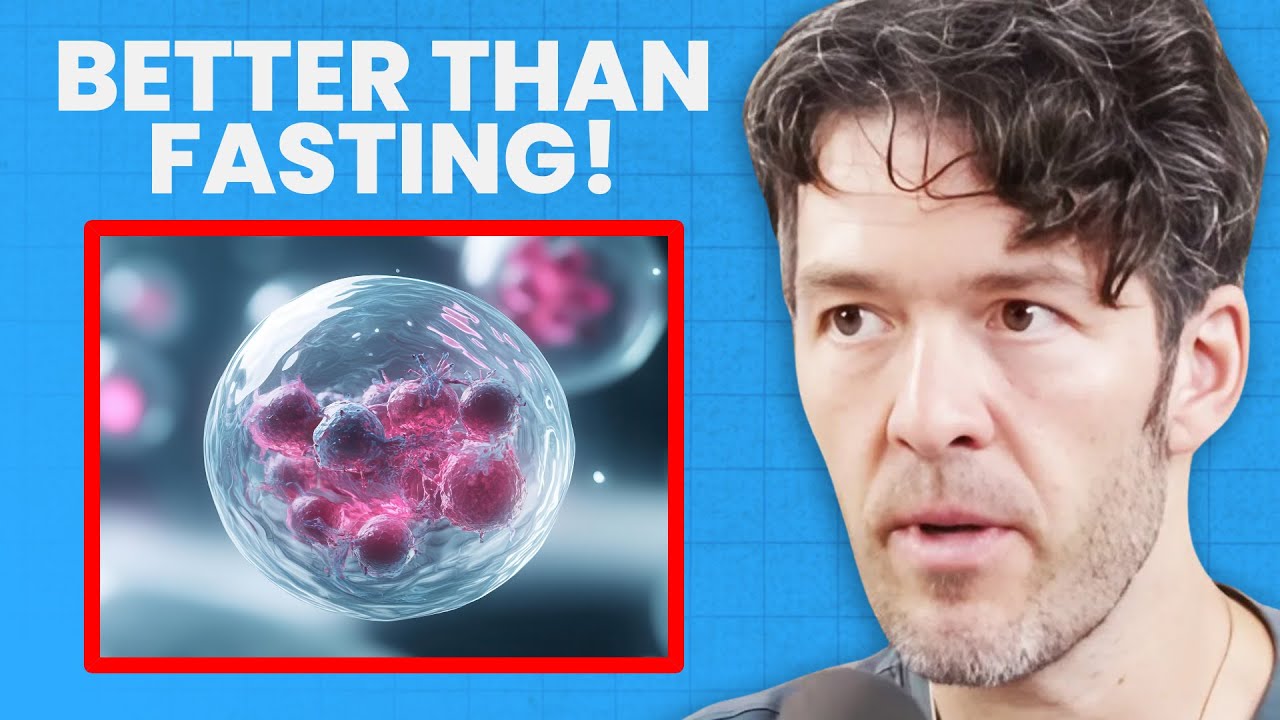 The Best Strategies to Enhance Autophagy Through Muscle Health and ...
