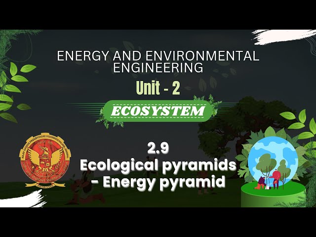 Understanding Ecological Pyramids: The Energy Pyramid Explained | Galaxy.ai