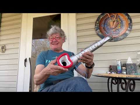 Casio DH-100 Saxophone Digital Horn - Vozophone - Circuit | Reverb