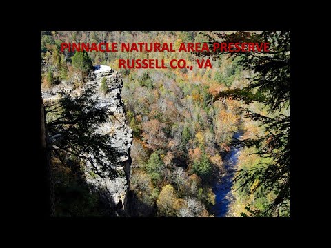 Pinnacle NAP