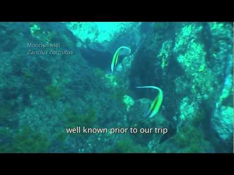 Kermadec Islands Expedition HIGHLIGHTS