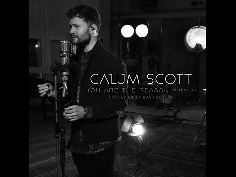 Calum Scott - You Are The Reason (Lyrics and Chords)