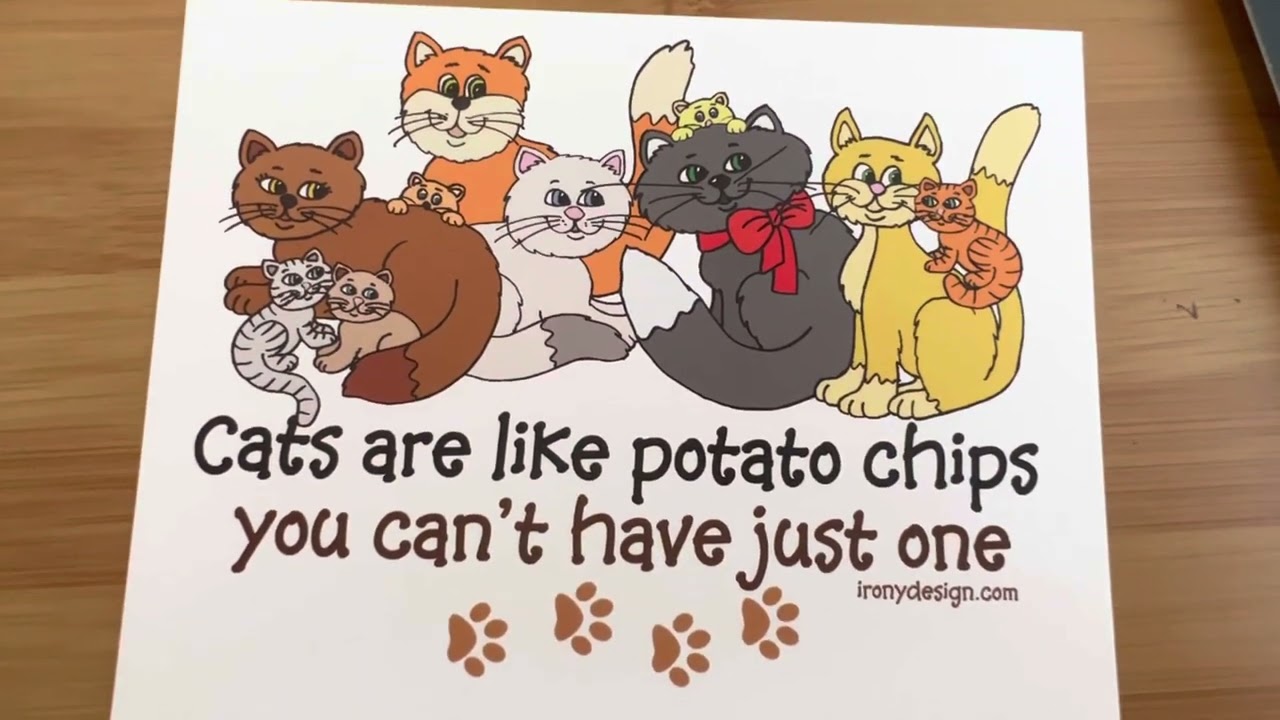 Postcard Finds #1 - Cats from Zazzle