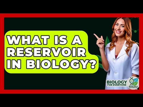 What Is A Reservoir In Biology? - Biology For Everyone