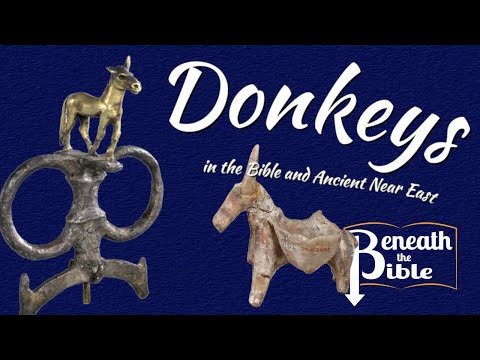 Donkeys in the Bible and Ancient Near East