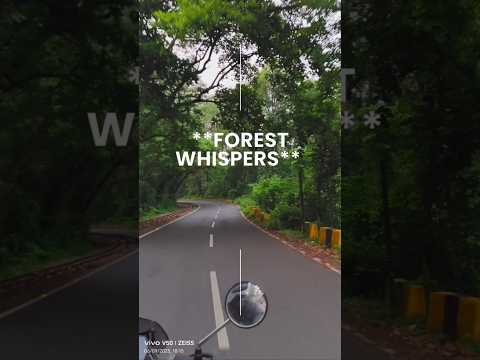 The Poetic Path Where every Frame Rhymes with Nature #shortreels #shortvideo #nature #travel