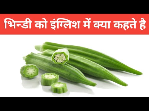 भिन्डी ko english me kya kahte hai | Bhindi in English | shabdkosh dictionary
