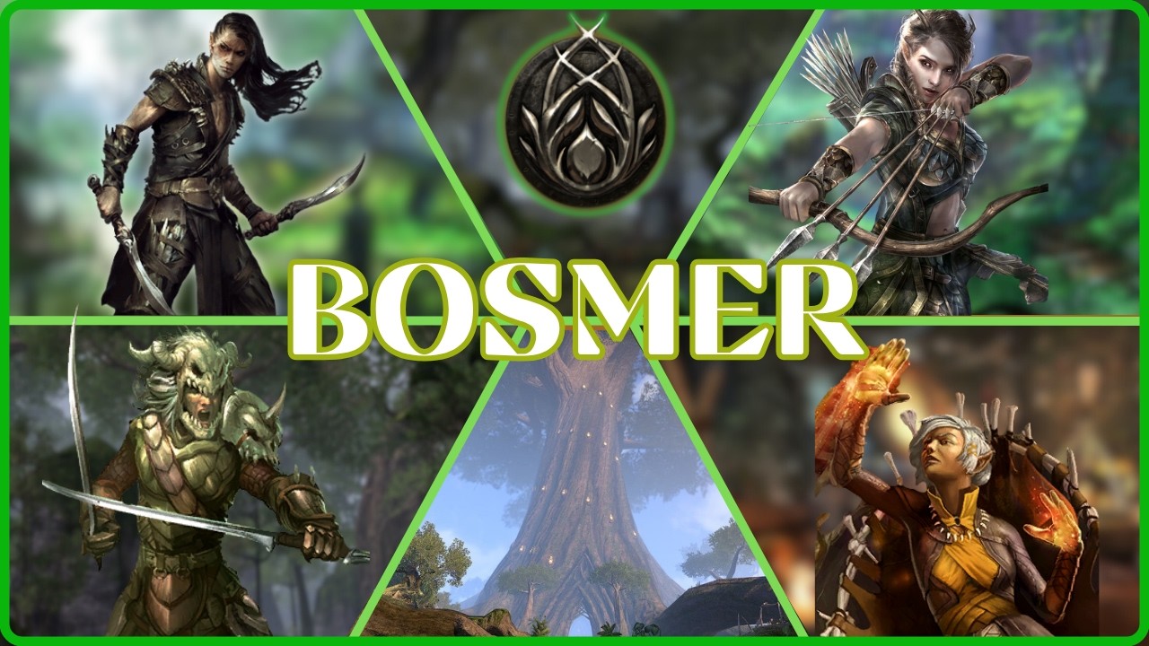 The Complete Lore of the Bosmer - The Wood Elves of Valenwood (Elder Scrolls Lore)